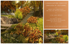 Second Life Marketplace - [F] Prefab Landscape 1 - Autumn